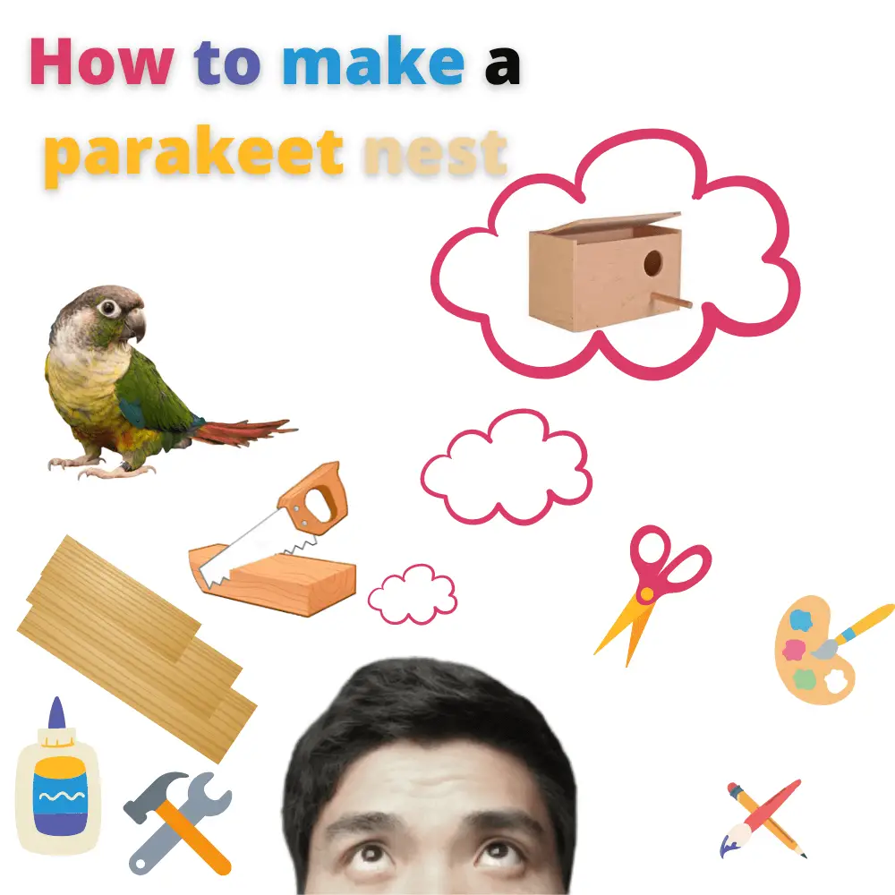 Making Bird Nests Parrot Nesting How To Make A Parakeet Nest