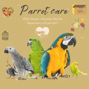 Parrot lifespan - What is the average lifespan of a parrot
