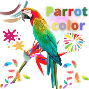 Parrot color - Parrot colorful | What are the colors of parrots