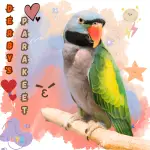 Derbyan parakeet - Habitat Colors Personality Care and Health